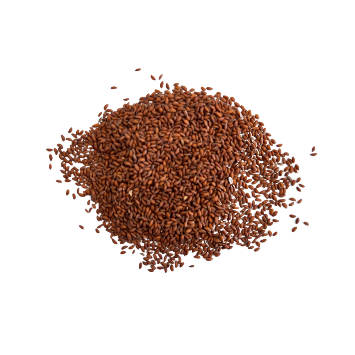 RASHADSEEDSASPICEAFFAIR_3_177d5894-09d8-4c50-951a-c53316dd085f ...