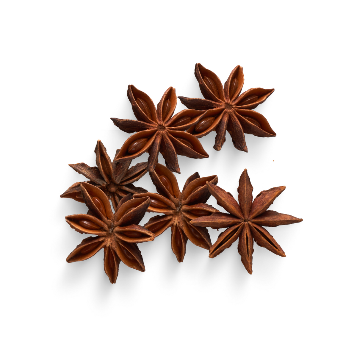 StarAnise_ddeb80f5-59f2-48d5-8437-e483220b0a50_1200x1200.png?v=1648164822